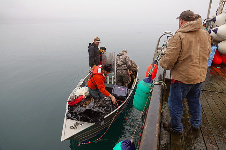Kodiak Hunt Transportation Service | Sitka Blacktail Deer & Mountain Goat